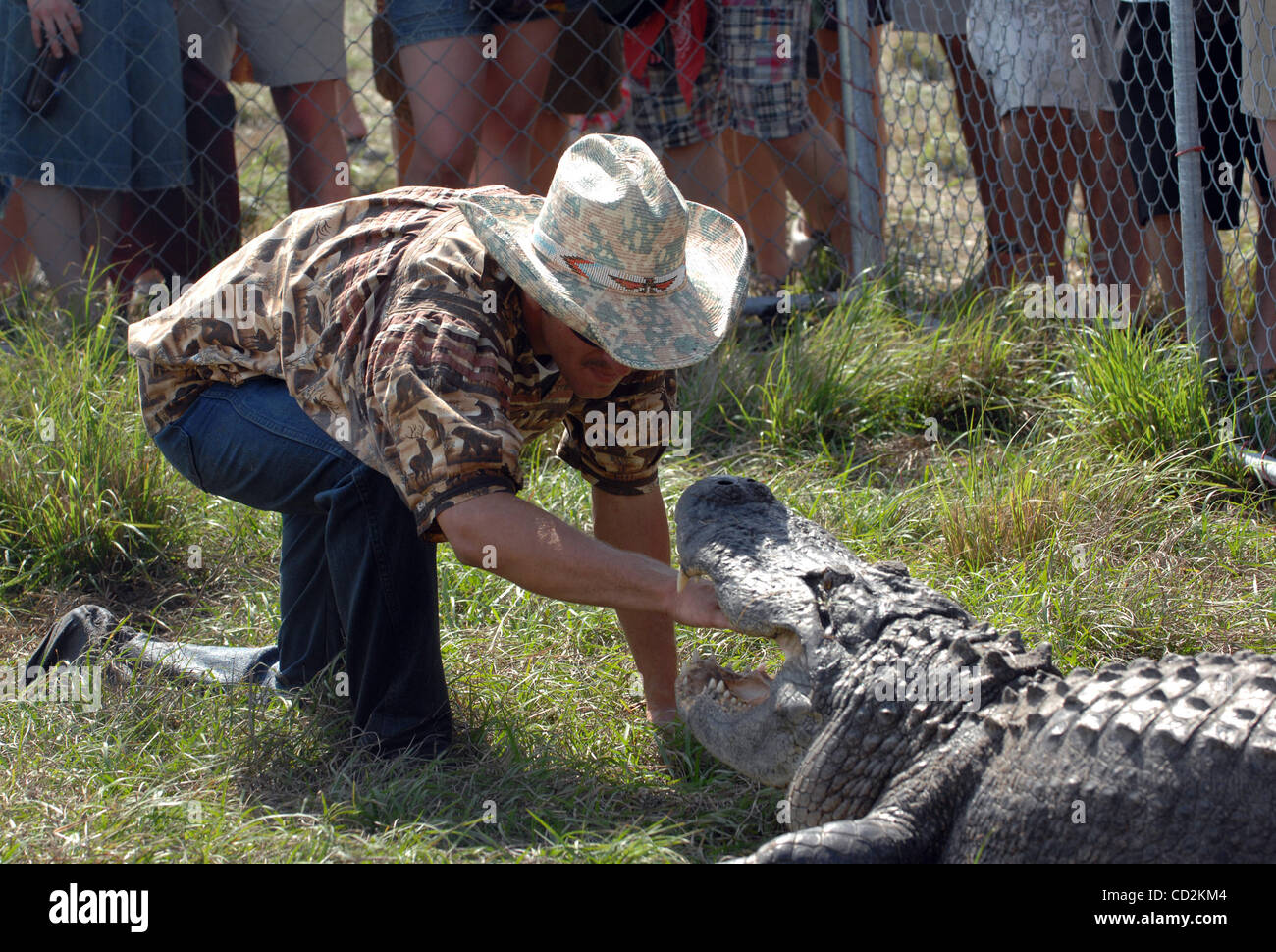 Florida alligator wrestler hi-res stock photography and images - Alamy