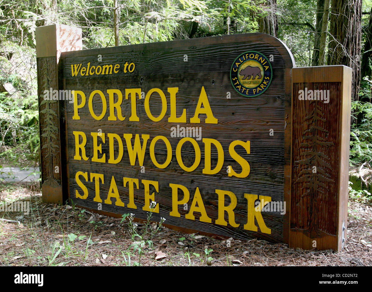 Portola redwoods hi-res stock photography and images - Alamy