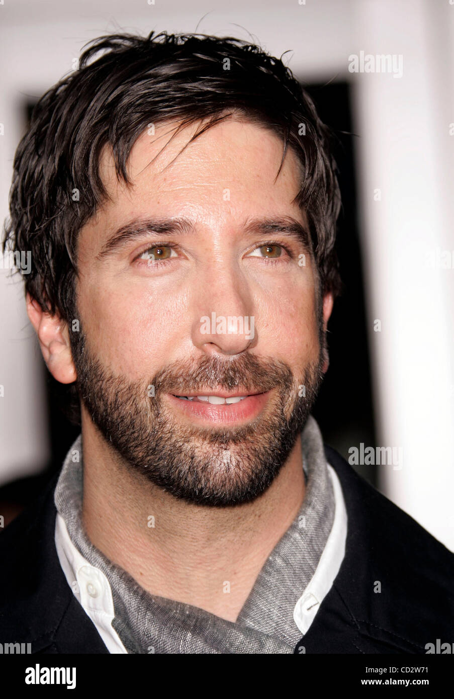David Schwimmer Muscles