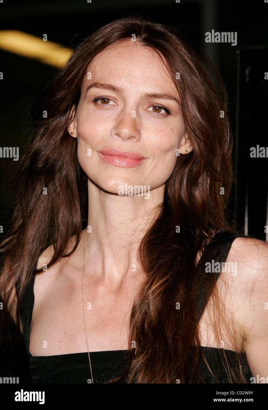 Mar 24, 2008 - Hollywood, California, USA - Actress SAFFRON BURROWS ...