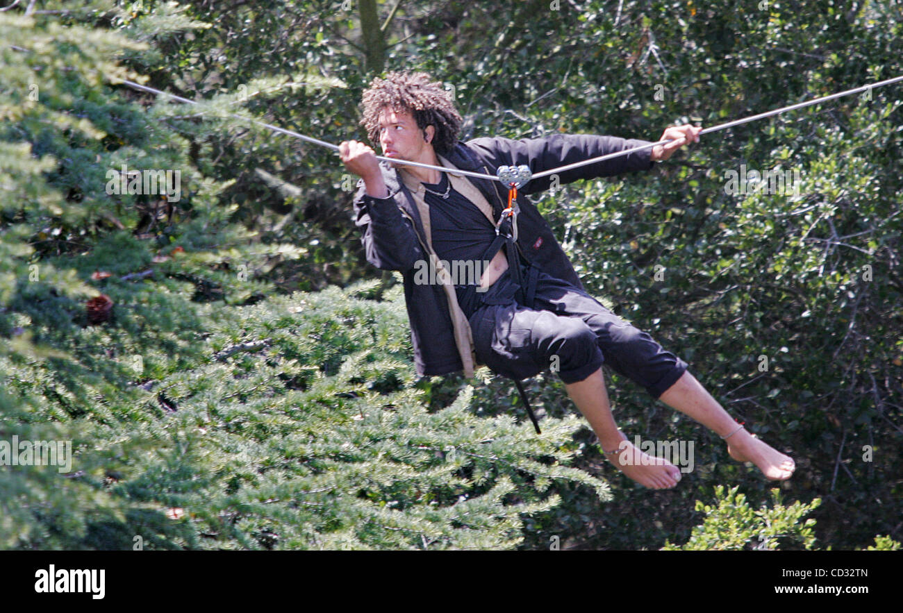 A protester living in a tree next to Memorial Stadium at UC Berkeley ...