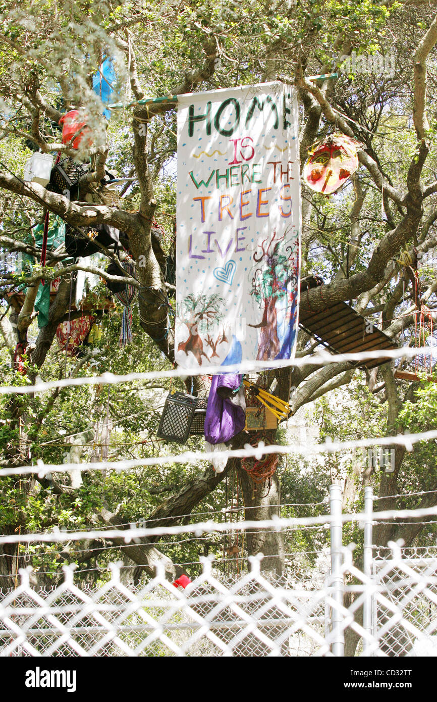 UC Berkeley has surrounded a group of people living in trees next to ...