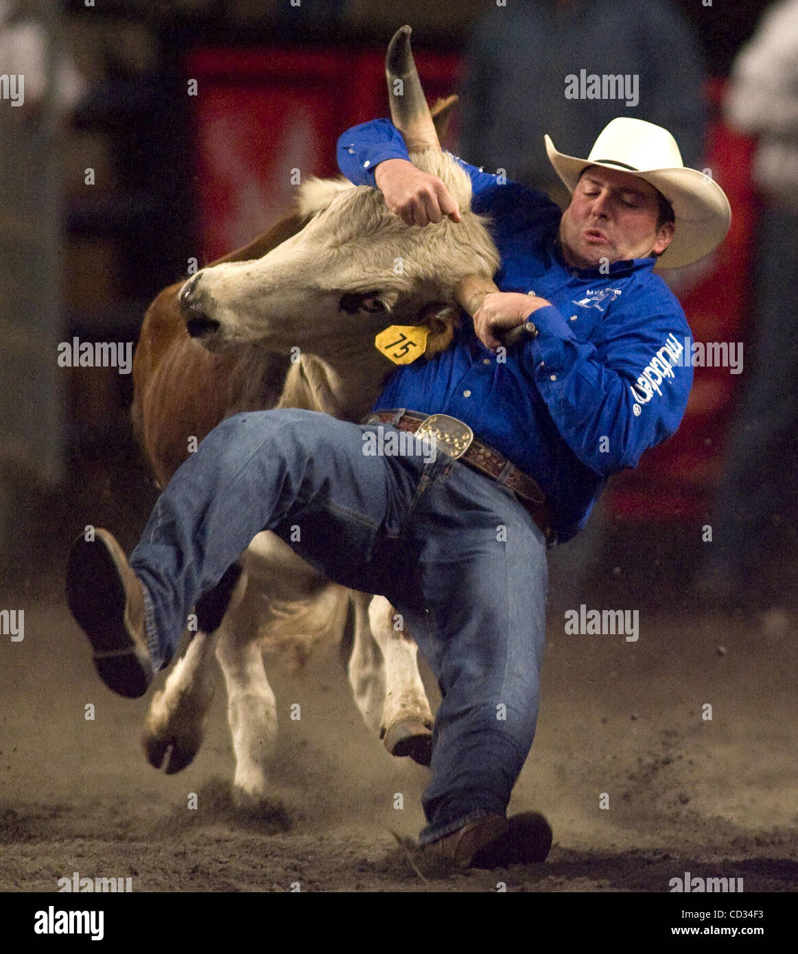 A cowboy wrestles a steer to the ground in the 63rd annual Grand ...