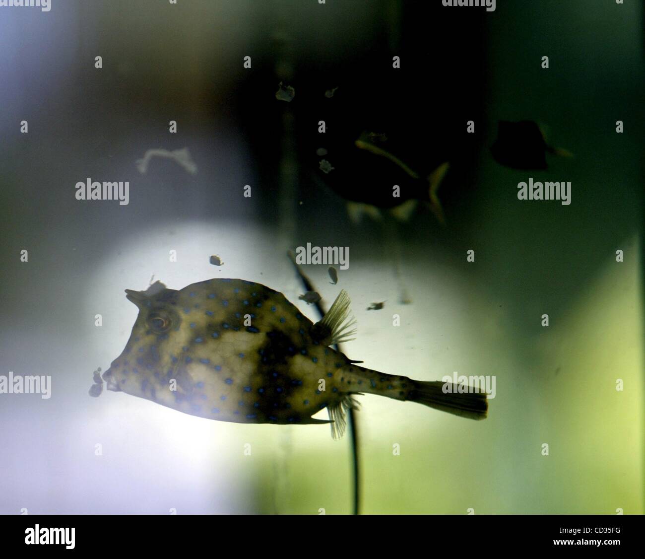 Jensen beach florida hi-res stock photography and images - Alamy