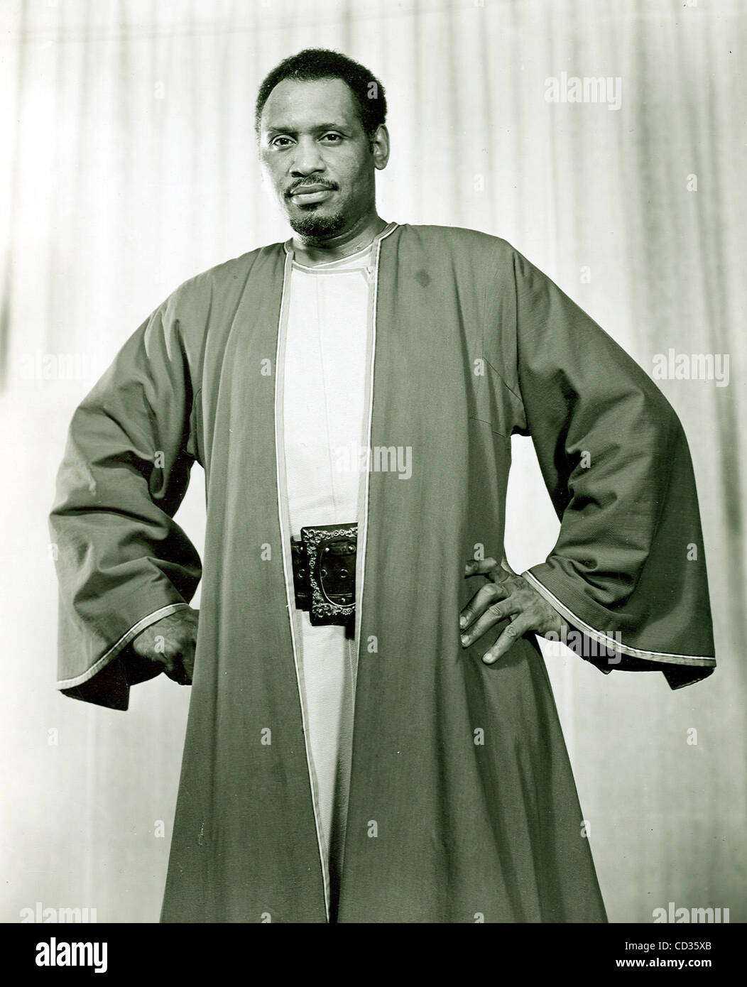 The life and times of actor, athlete, scholar and civil rights activist ...