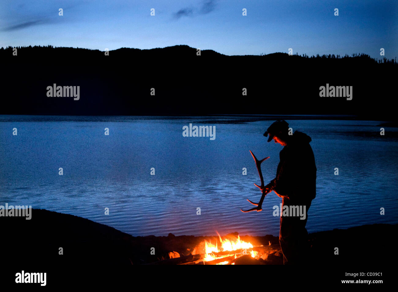Apr 21, 2008 - Idaho, USA - TOM CLOUSE studies an elk antler that was ...