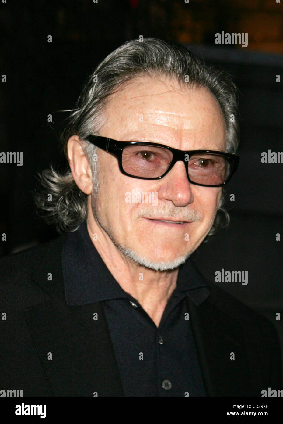 Apr 22, 2008 - New York, NY, USA - Actor HARVEY KEITEL at the arrivals ...