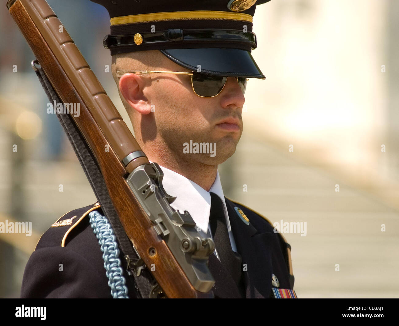 A "Sentinel" stands watch at the Tomb of the Unknown Soldier at ...