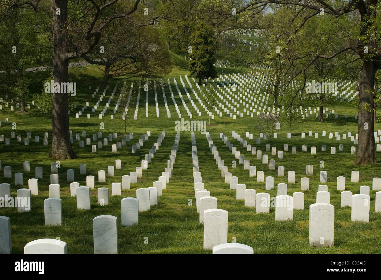 The perfectly lined headstones at Arlington National Cemetery ...
