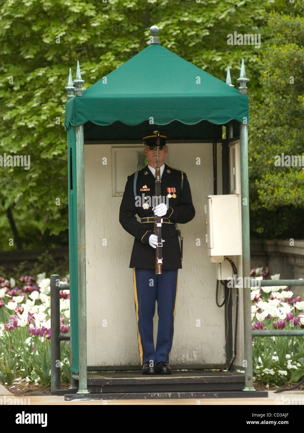 A "Sentinel" stands watch at the Tomb of the Unknown Soldier at ...