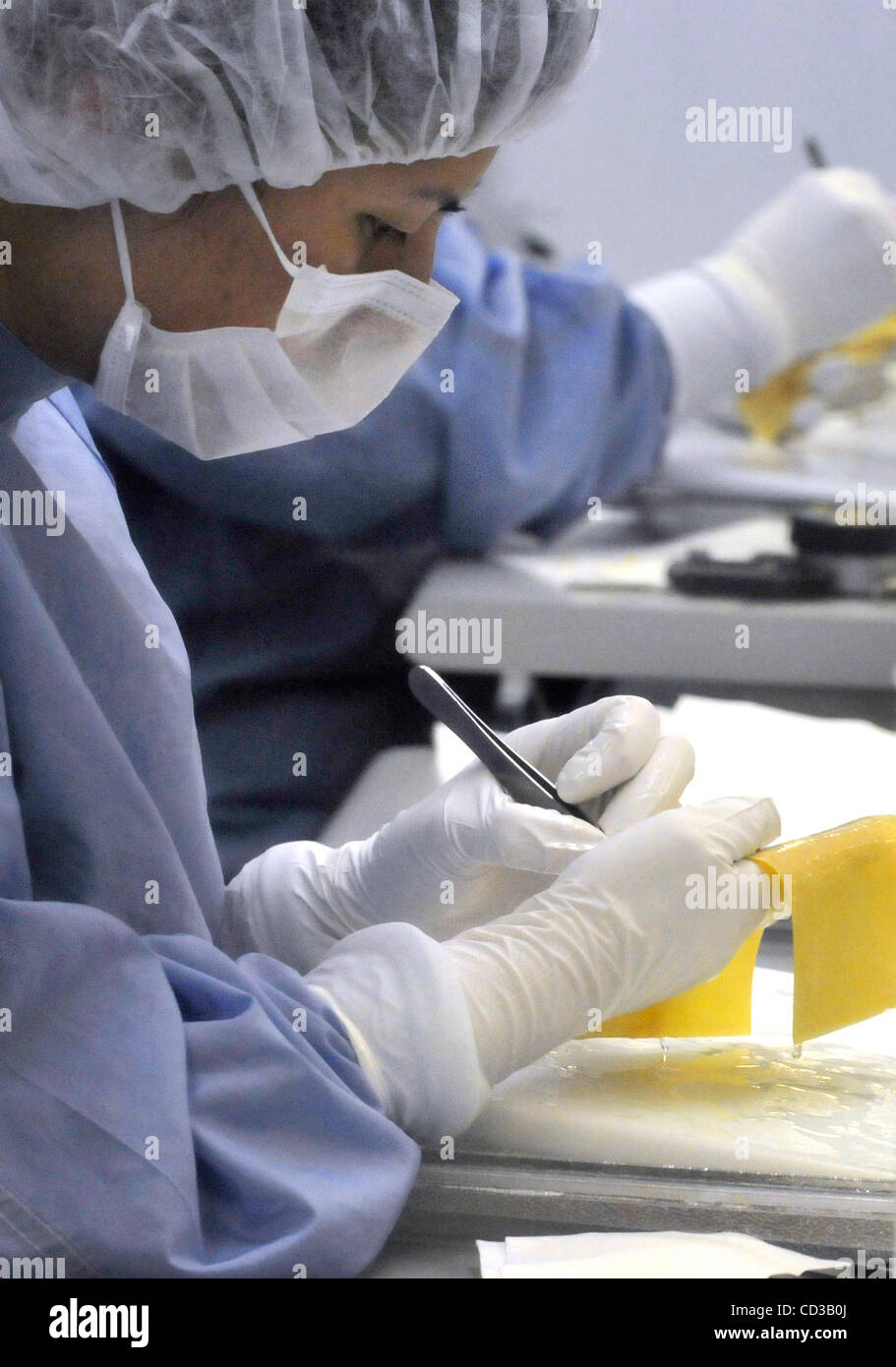 GLEN STUBBE â€¢ gstubbe@startribune.com -- Wednesday, April 23, 2008 ...