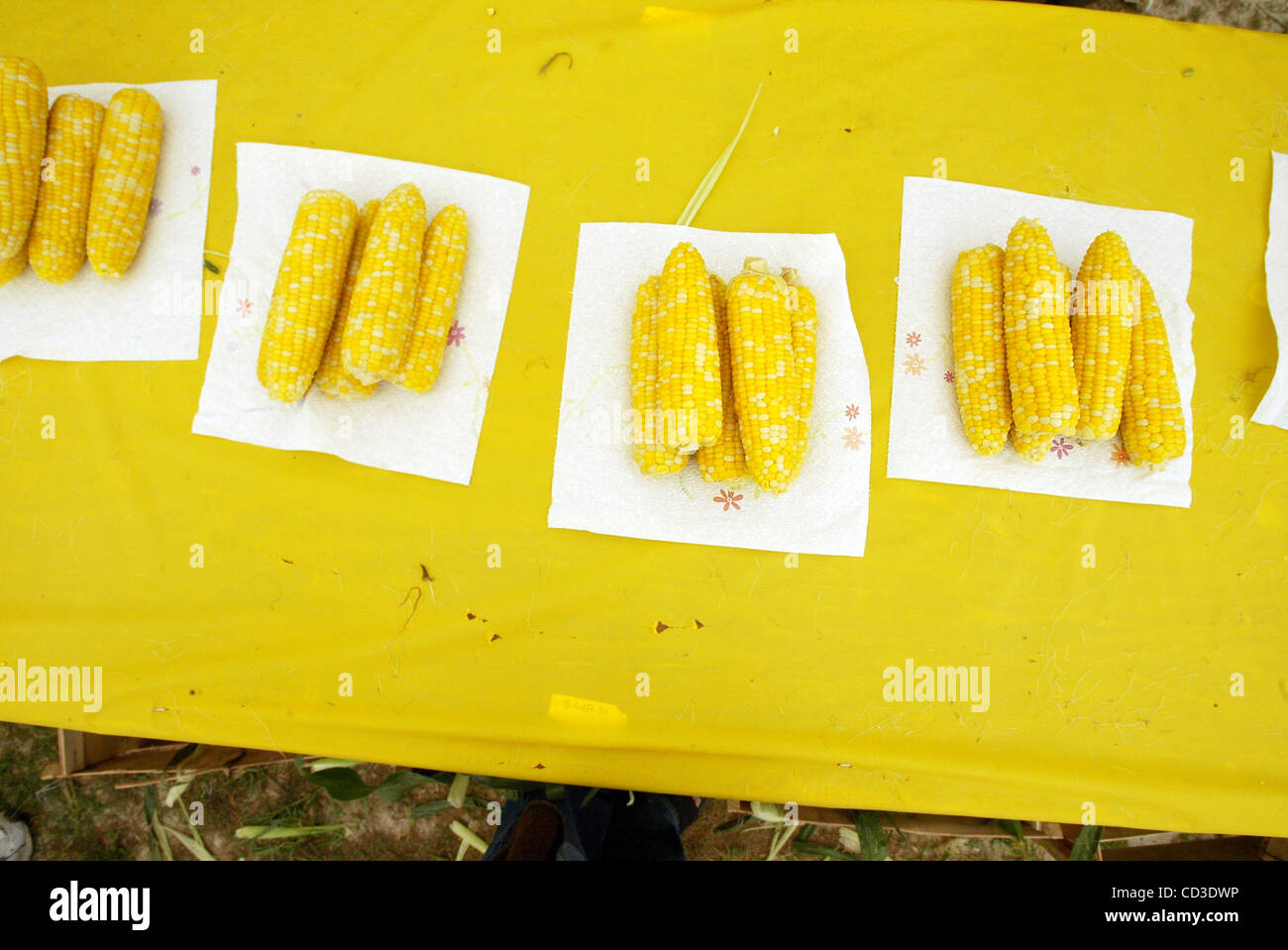 042708 met corn 10--Staff Photo by Uma Sanghvi/The Palm Beach Post ...