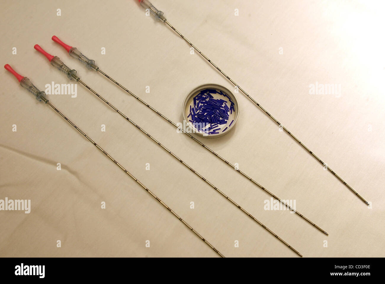 042808 sc biz kaplan 3of3 - Staff photo by Chris Matula/The Palm Beach ...