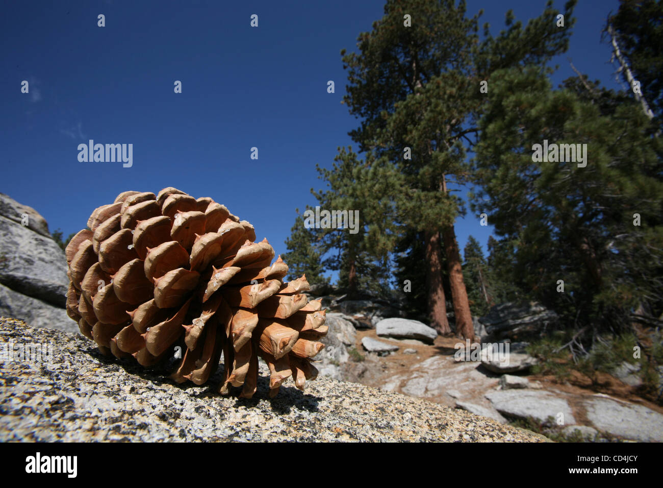 Oct 11, 2008 - Sequoia National Park, California, United States ...