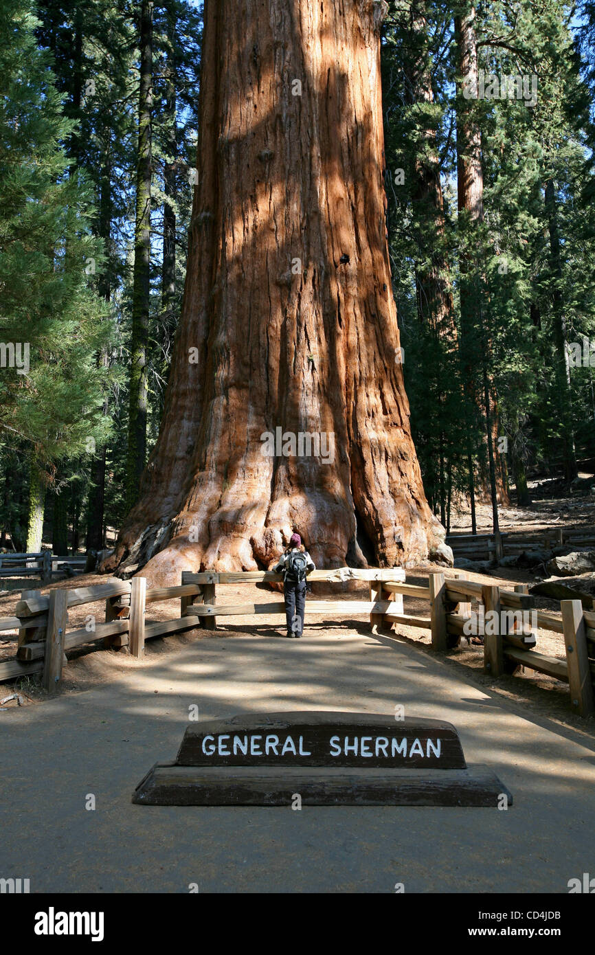 Oct 11, 2008 - Sequoia National Park, California, United States ...