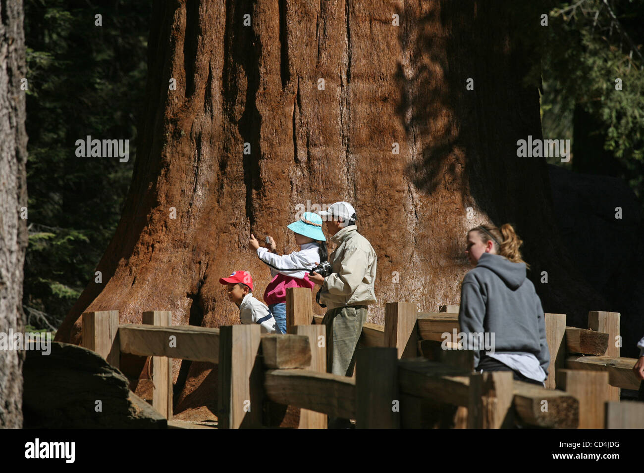 Oct 11, 2008 - Sequoia National Park, California, United States ...