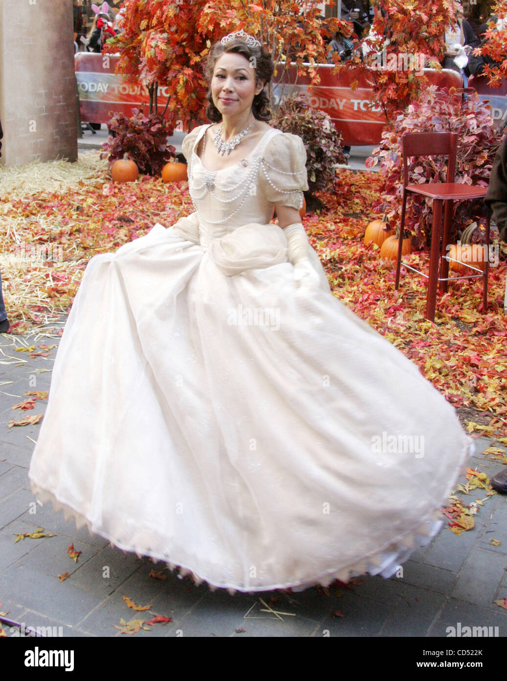 Oct 31, 2008 - New York, NY, USA - 'Today' show co-host ANN CURRY poses ...