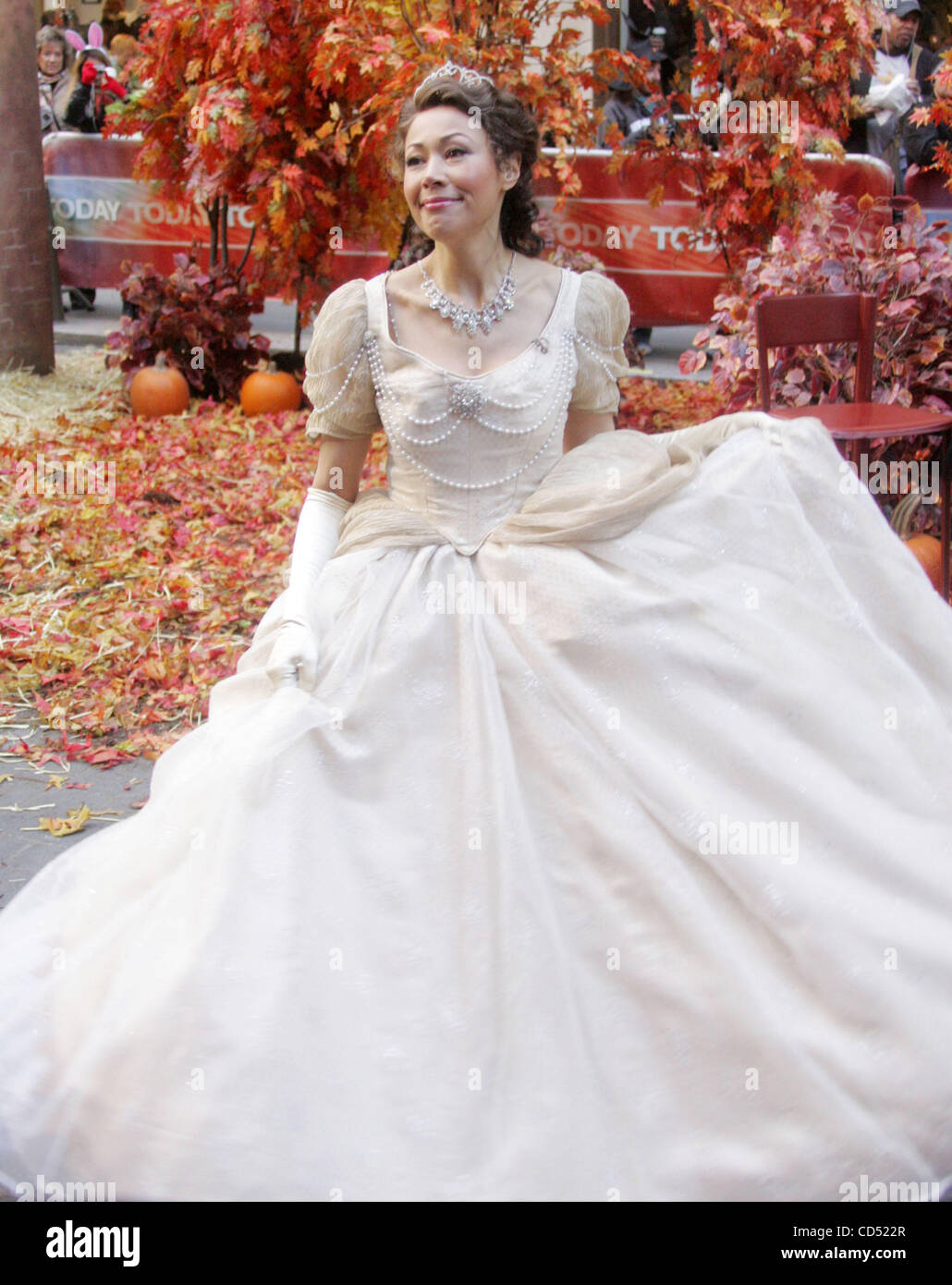 Oct 31, 2008 - New York, NY, USA - 'Today' show co-host ANN CURRY poses ...