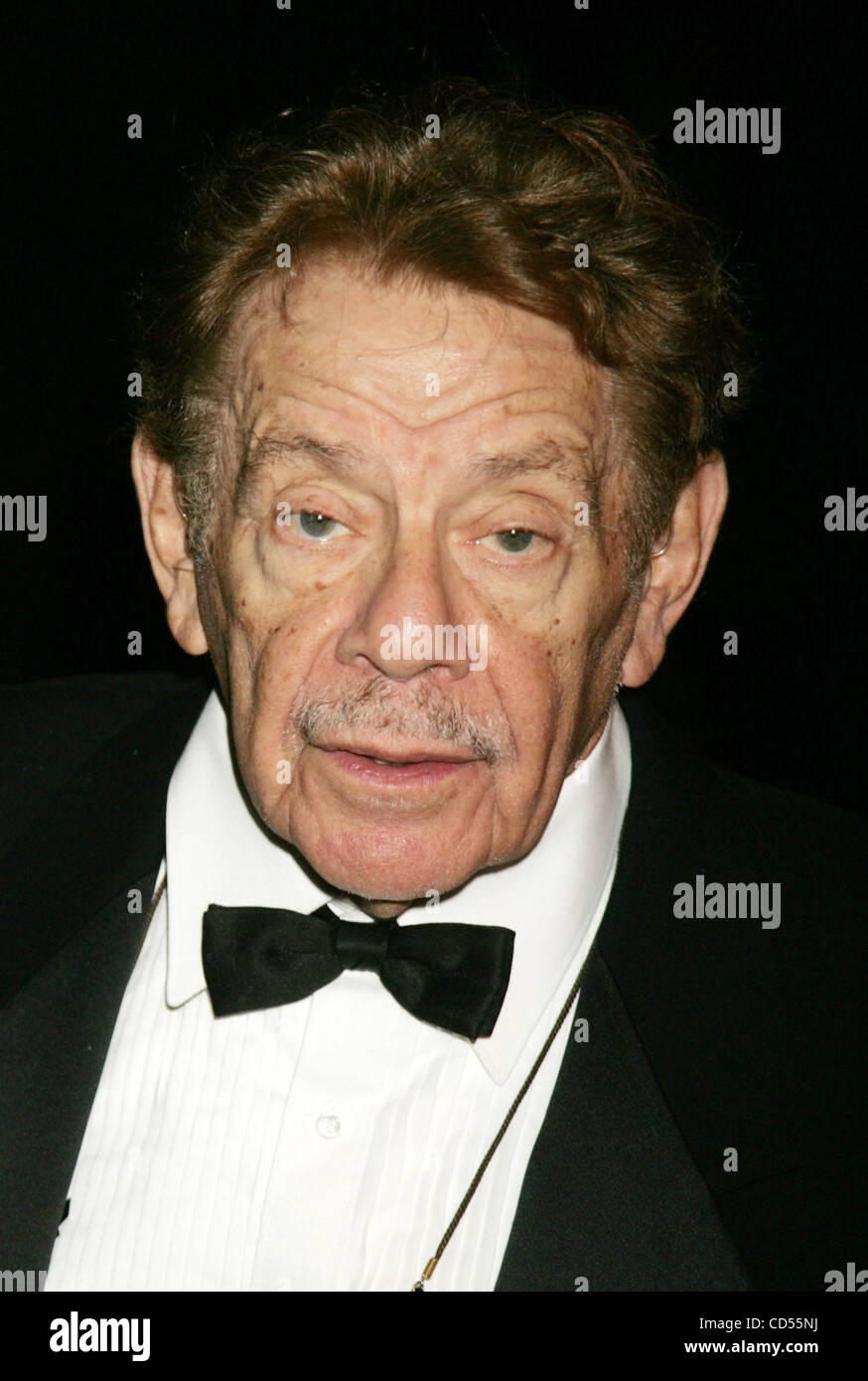 Nov 12, 2008 - New York, NY, USA - Actor JERRY STILLER at the Museum of ...