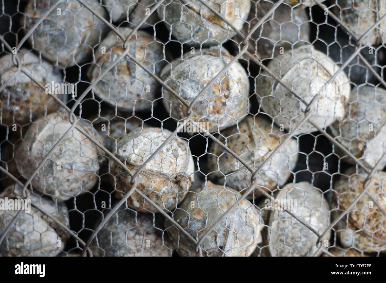 BLU 26/B Cluster bomblets on display at UXO Laos office. Each bomb ...