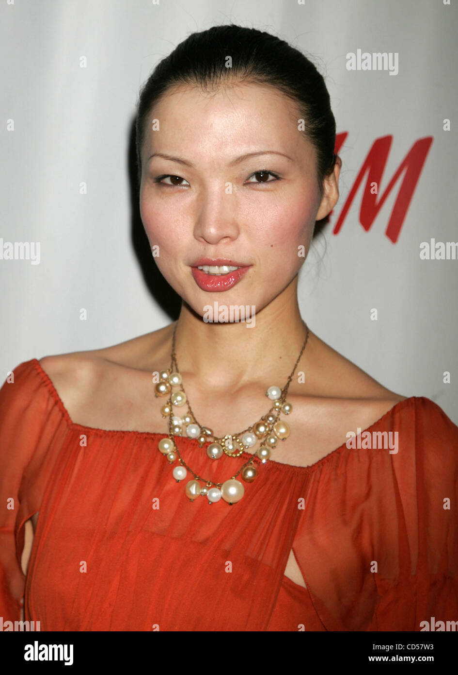 Nov 20, 2008 - New York, NY, USA - Actress LI XIN attends the Mentor ...