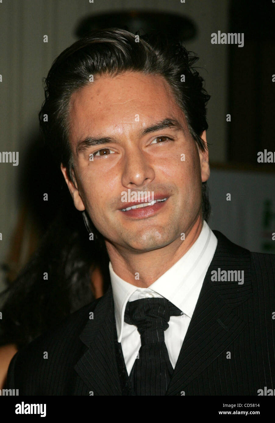 Nov 20, 2008 - New York, NY, USA - Model MARCUS SCHENKENBERG attends ...