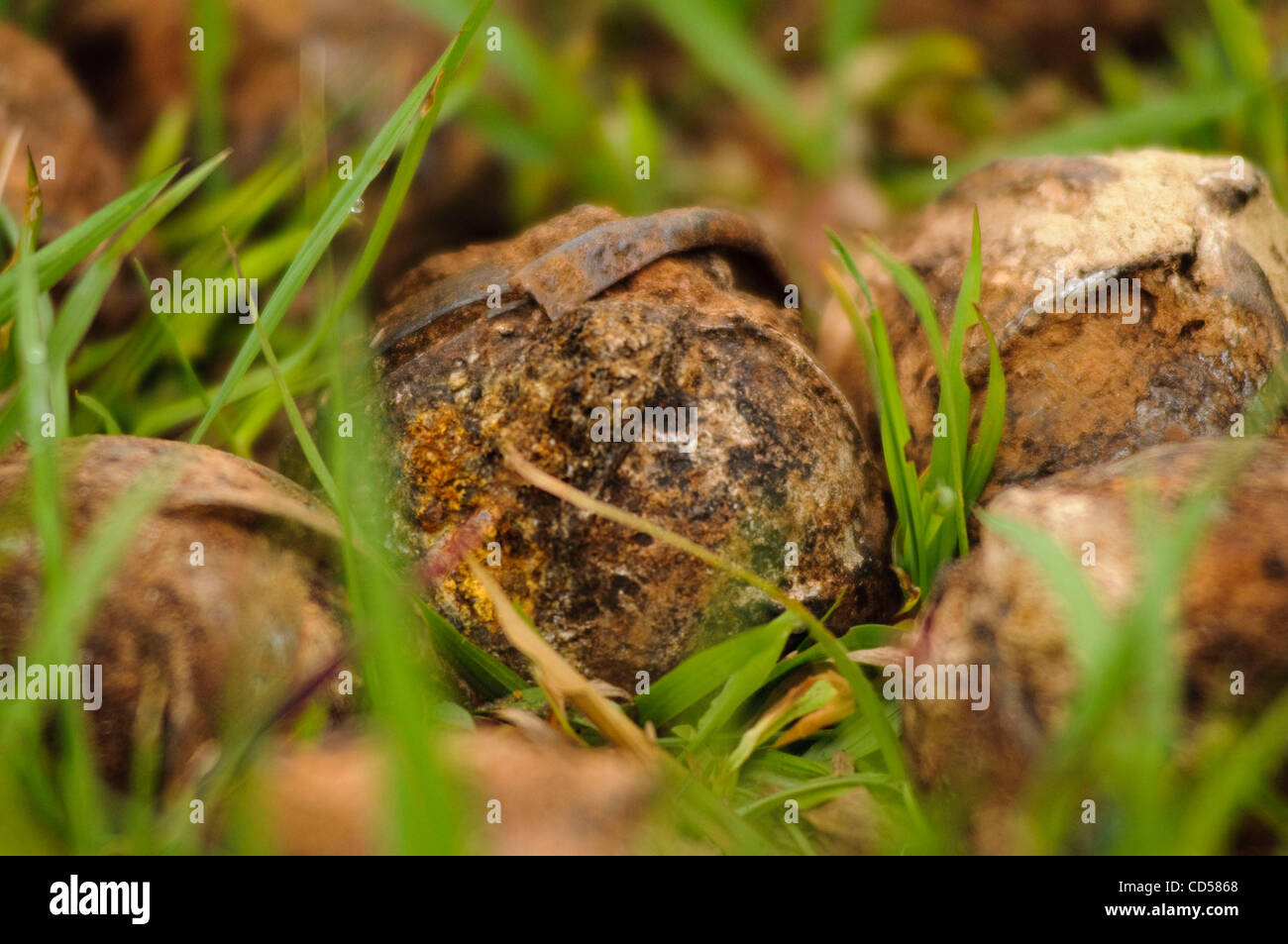 Unexpoded, but un-armed BLU 26 Cluster bomblets at the UXO Laos ...