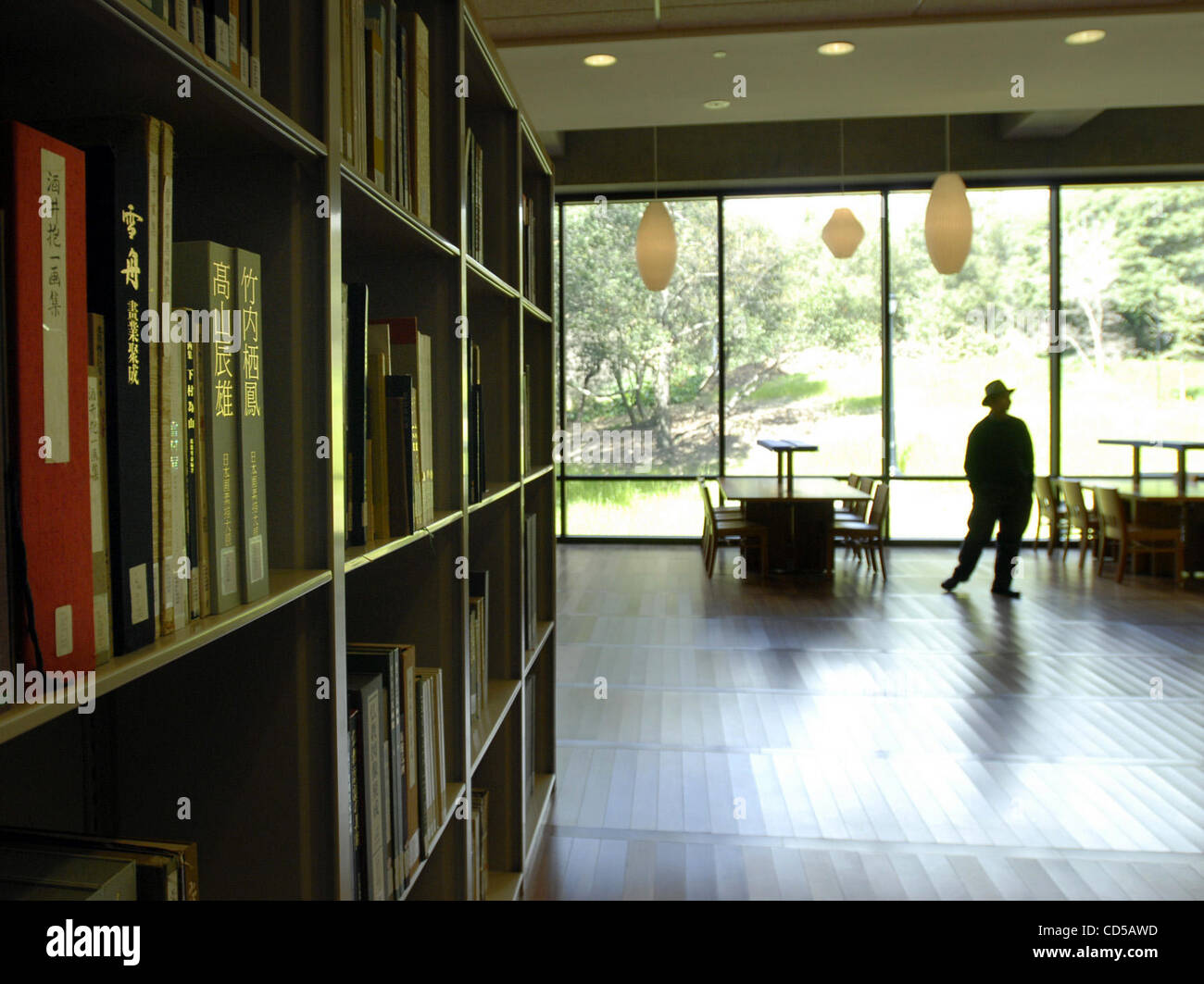 The main floor reference stacks has good light and looks out over trees ...