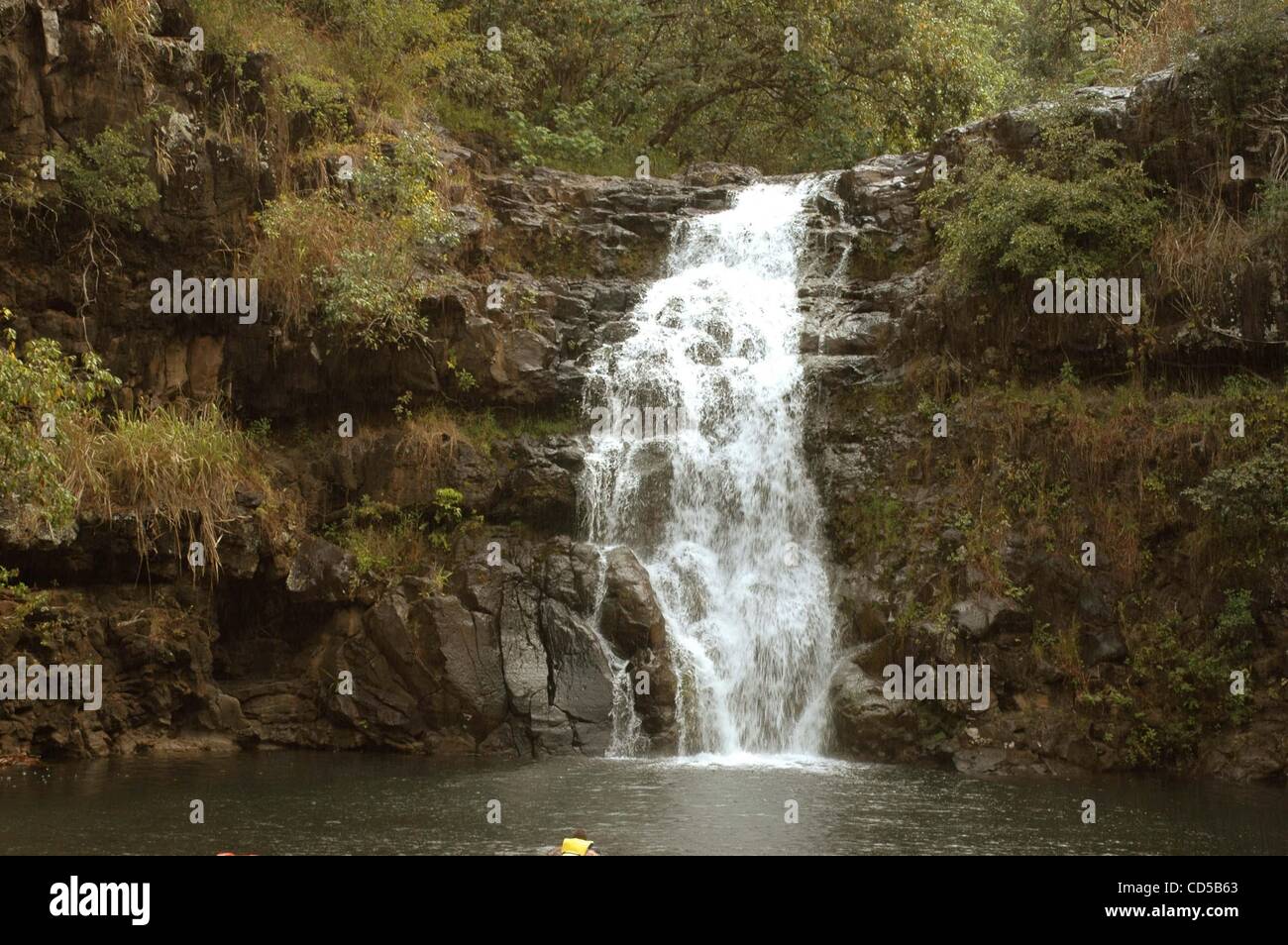 Waimea Falls is located in the beautiful 1,800-acre Waimea Falls Park ...