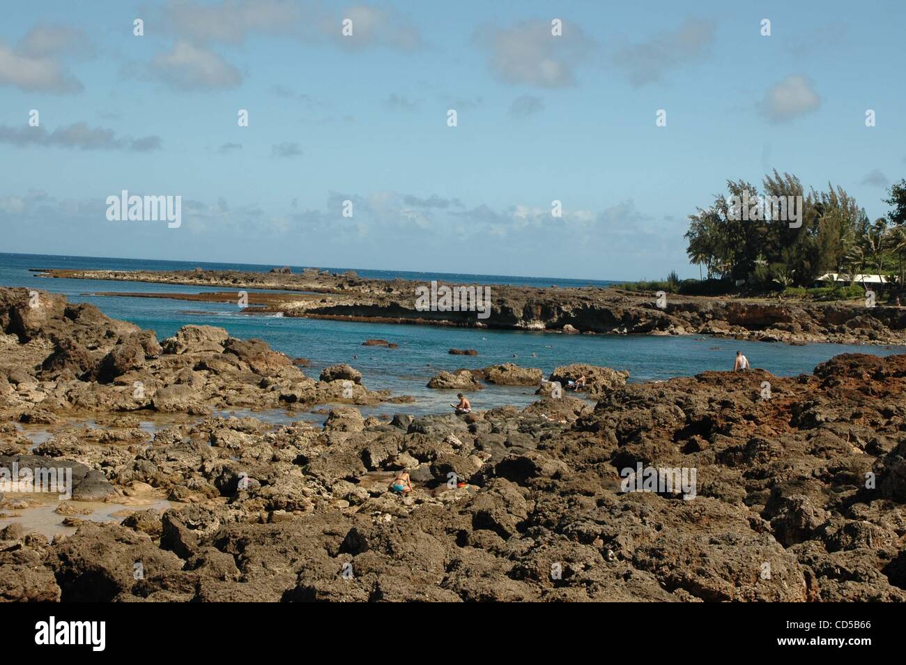 Sharks Cove is a wonderful reef located on the North Shore of Oahu ...