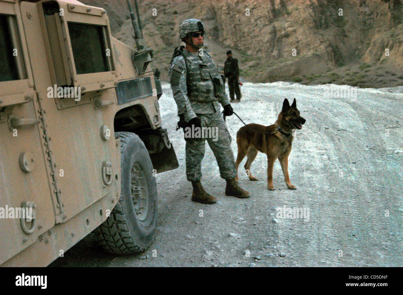Apr 25, 2008 - Paktya Province, Afghanistan - A military working dog ...