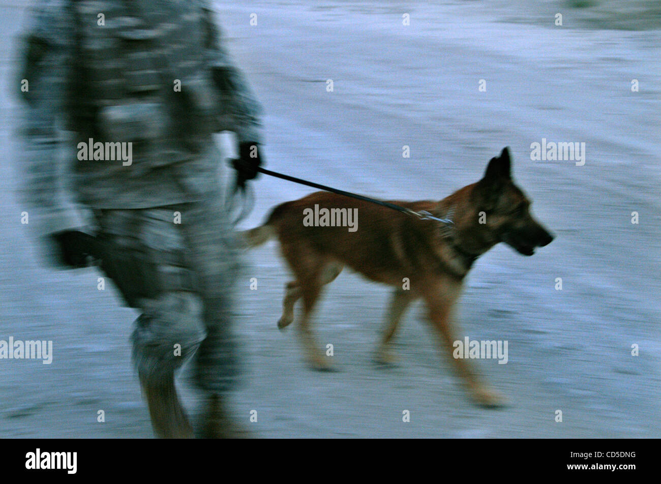 Apr 25, 2008 - Paktya Province, Afghanistan - A military working dog ...