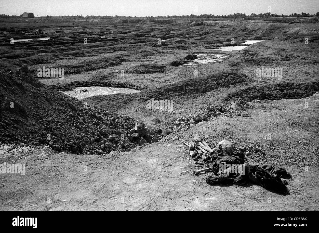 May 17, 2003 - Hillah, Iraq - Bones and a skull at a smaller mass grave ...