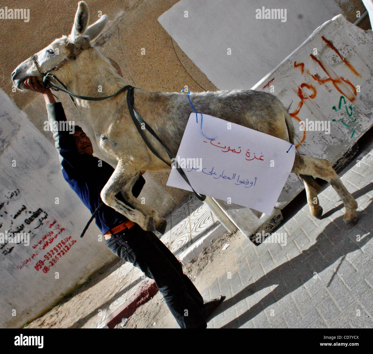 Mar 11, 2008 - Gaza Strip, Palestinian Territory - Donkeys with posters ...