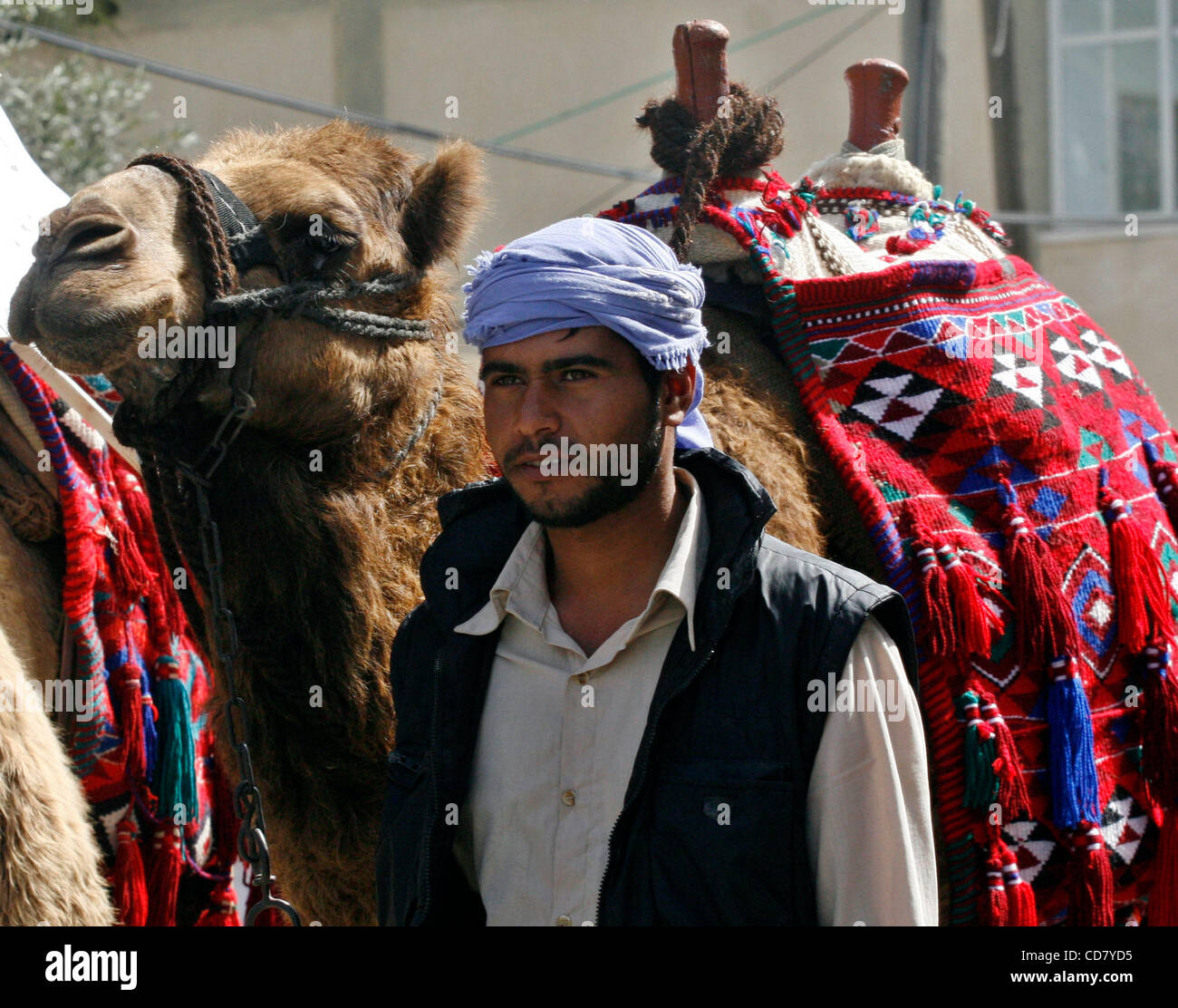Mar 11, 2008 - Gaza Strip, Palestinian Territory - Camel with posters ...