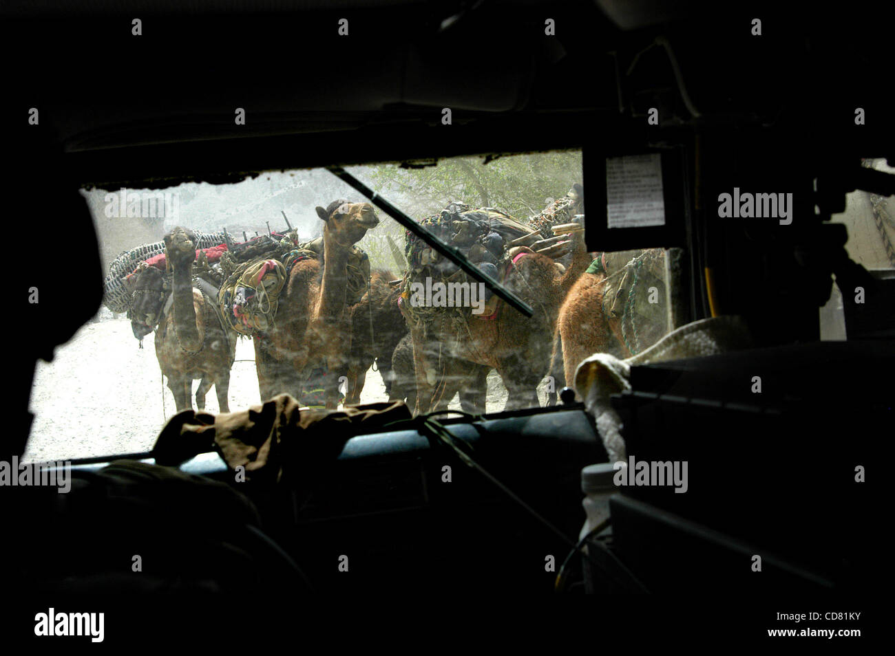 Mar 30, 2008 - Paktya Province, Afghanistan - Camel caravans are a ...