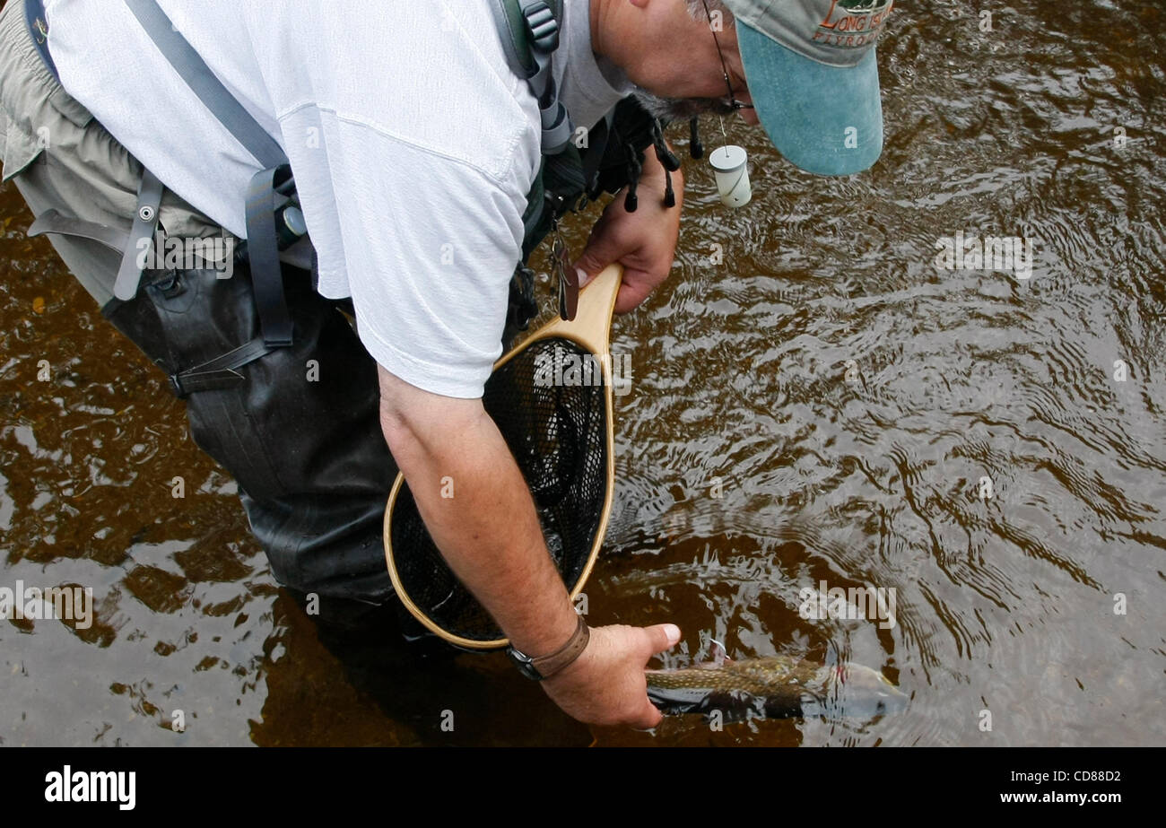 Sea run brown trout hi-res stock photography and images - Alamy