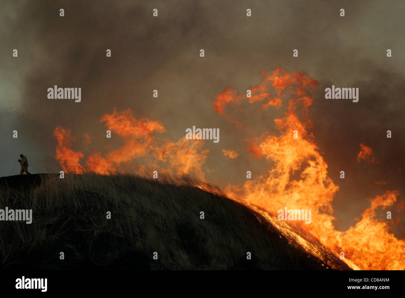 Sesnon High Resolution Stock Photography and Images - Alamy