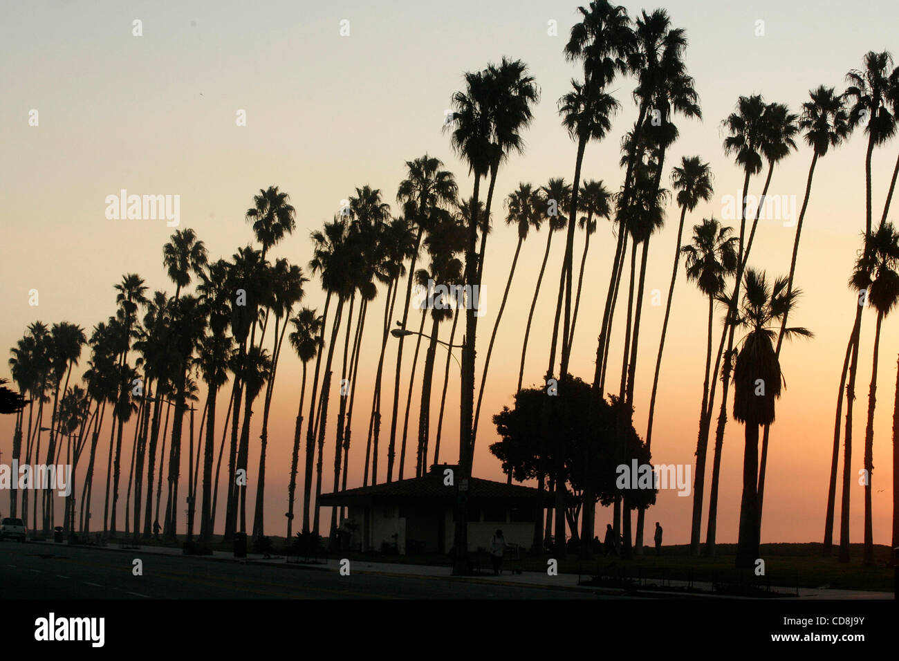Nov 14, 2008 - Santa Barbara, California, USA - Smoke from the Tea Fire ...