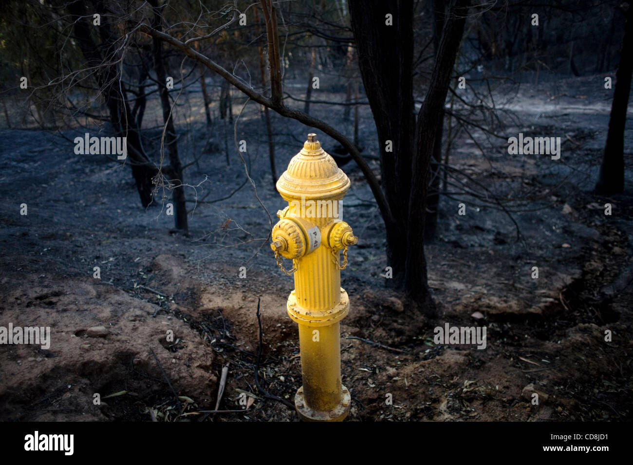 Wildifire hi-res stock photography and images - Alamy