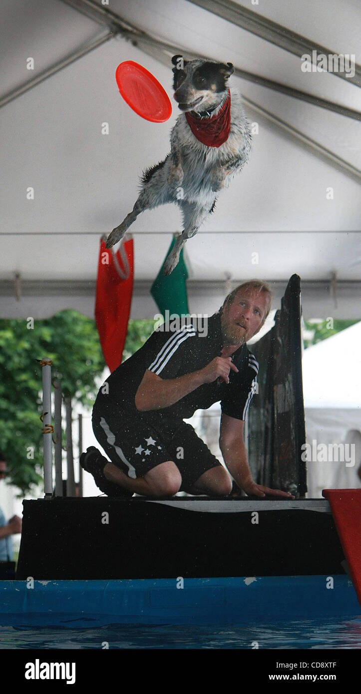 June 11, 2010 - Nashville, TN, USA - Ray Ray the dog jumps over trainer ...