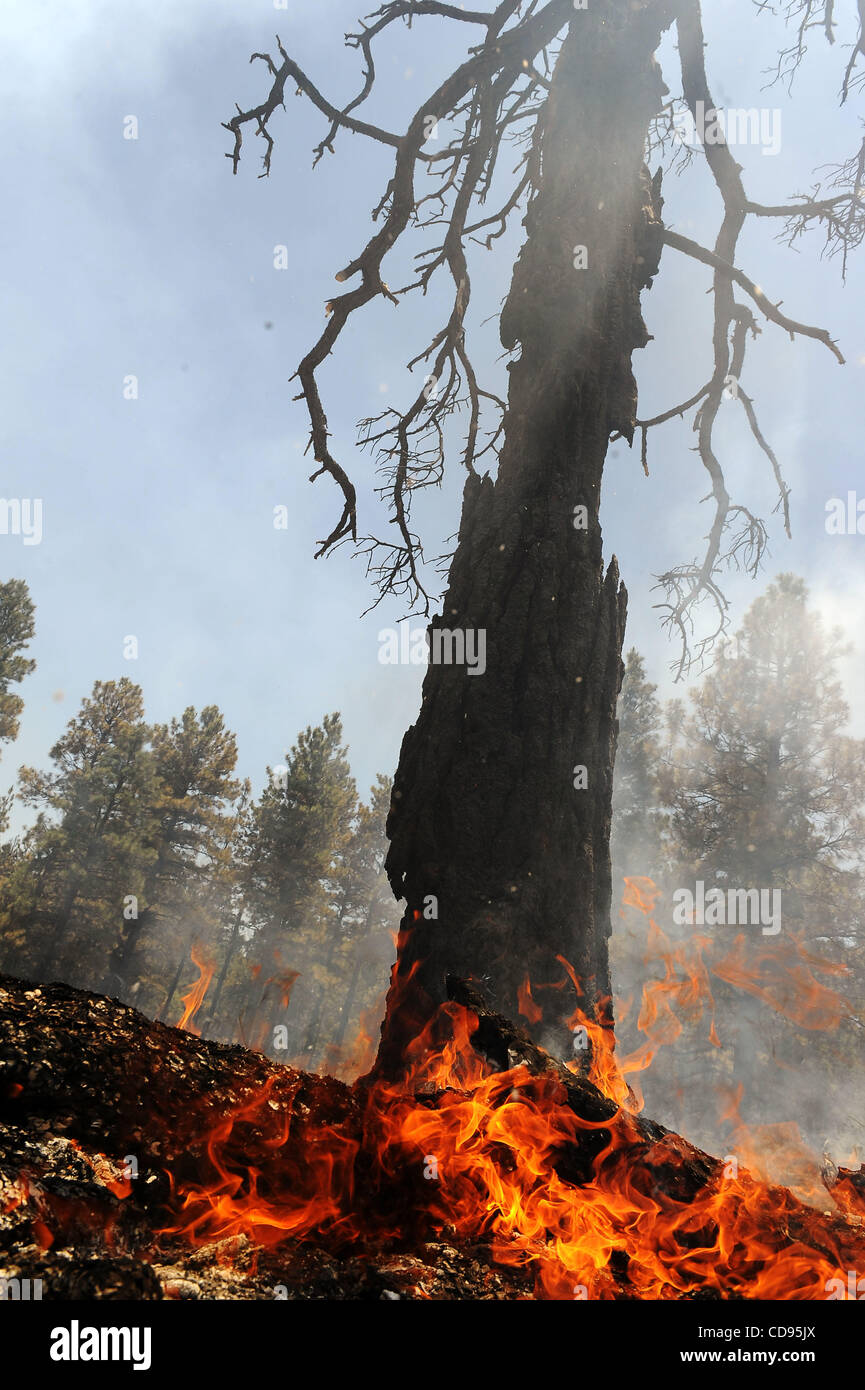 Burned Out Camp Fire High Resolution Stock Photography and Images - Alamy