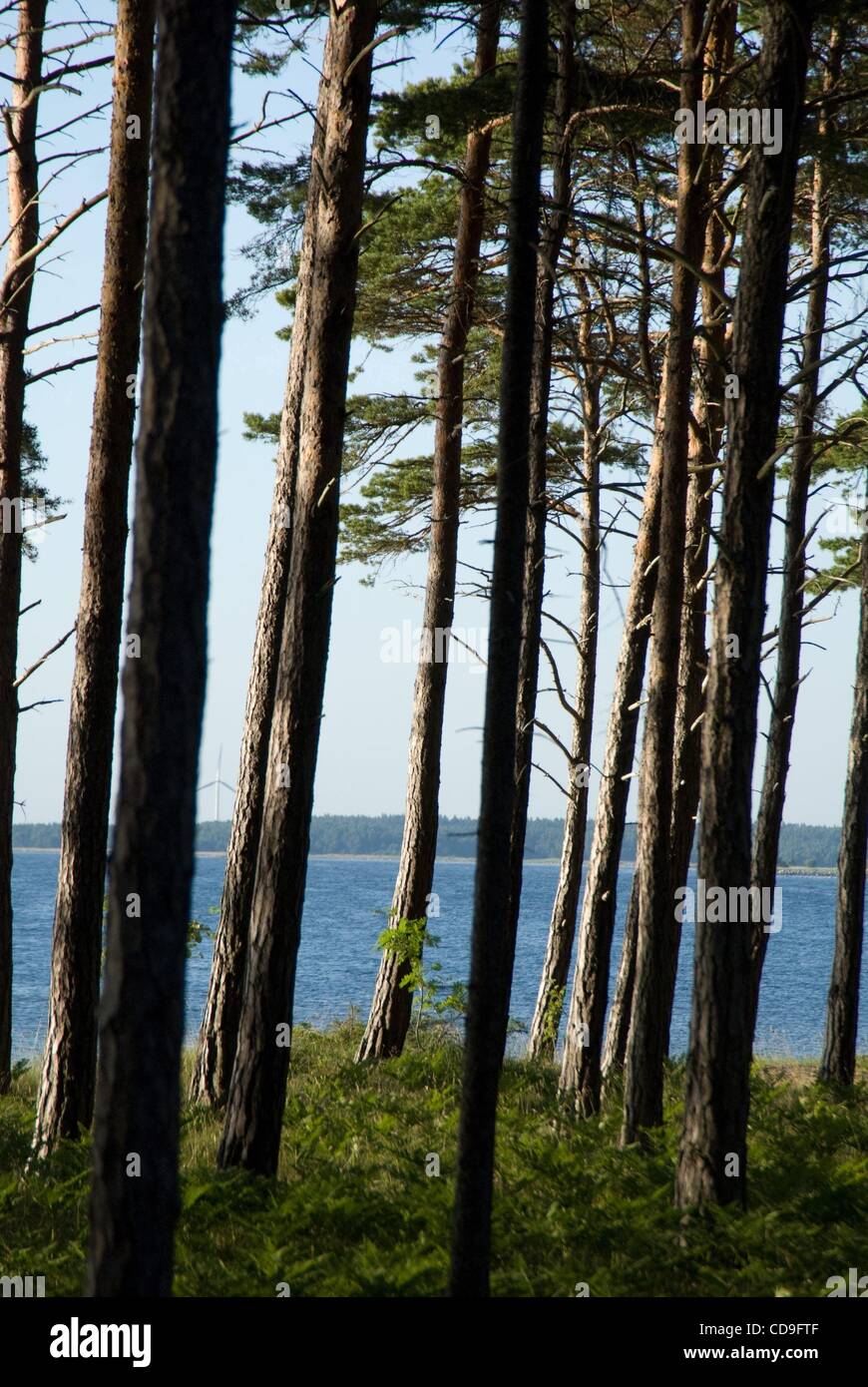 Jul 09, 2010 - Visby, Gotland, Sweden - Forest near the Djupvik Hotel ...