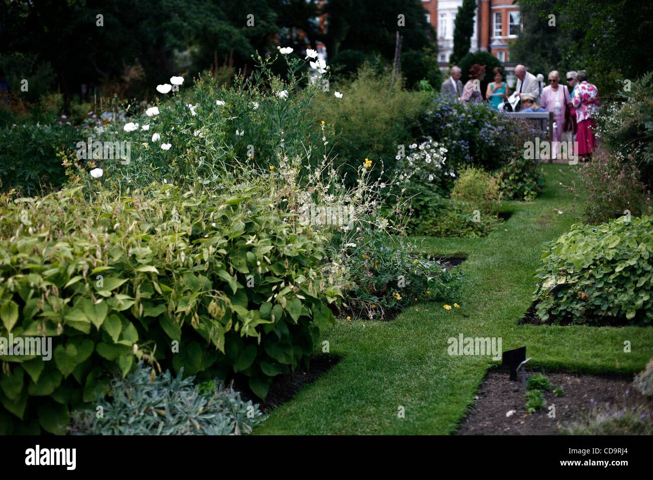 Chelsea physic gardens hi-res stock photography and images - Alamy