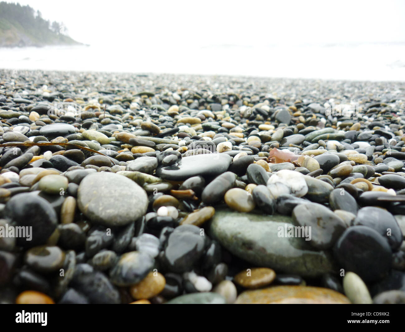 Agate beach trinidad hi-res stock photography and images - Alamy