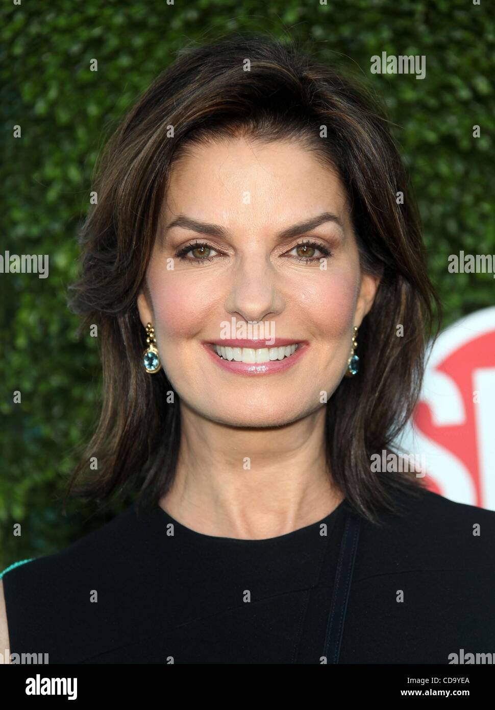 Sela Ward High Resolution Stock Photography and Images - Alamy