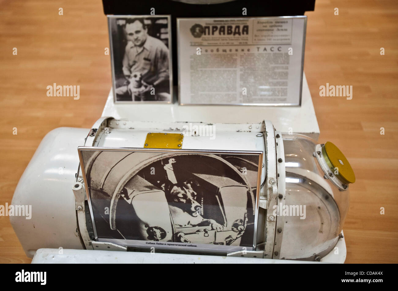 Laika space dog hi-res stock photography and images - Alamy
