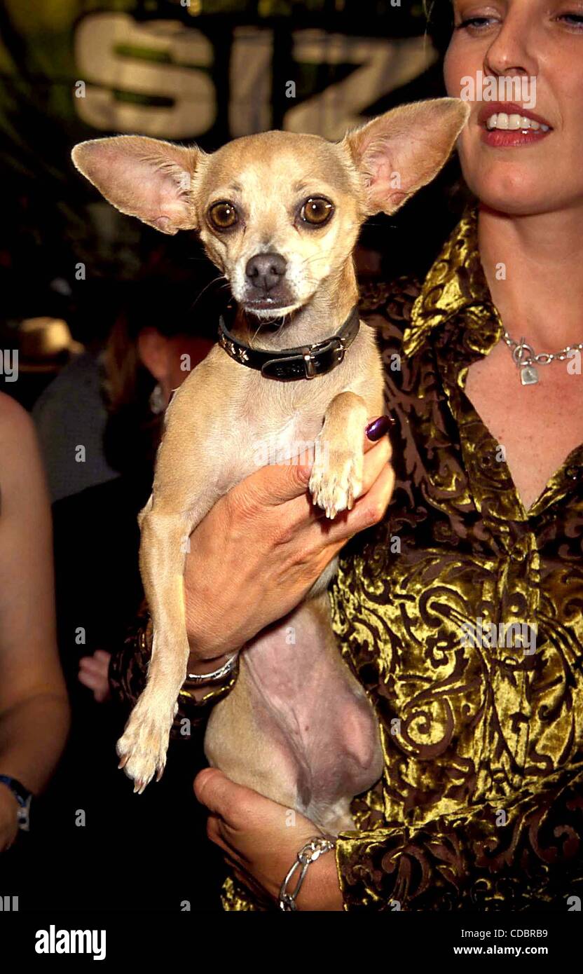 Godzilla 1998 Taco Bell