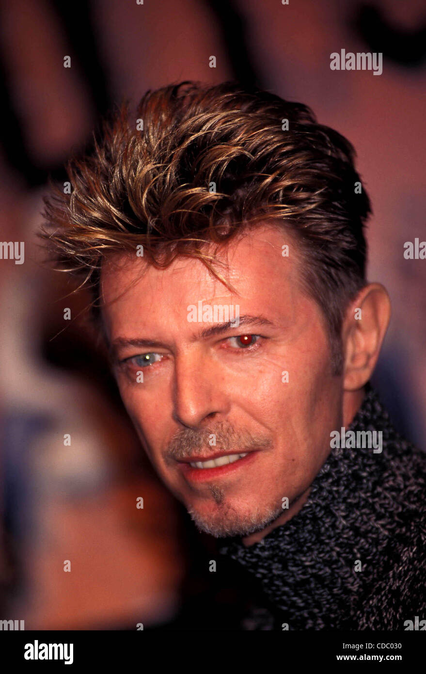 David Bowie 1995
