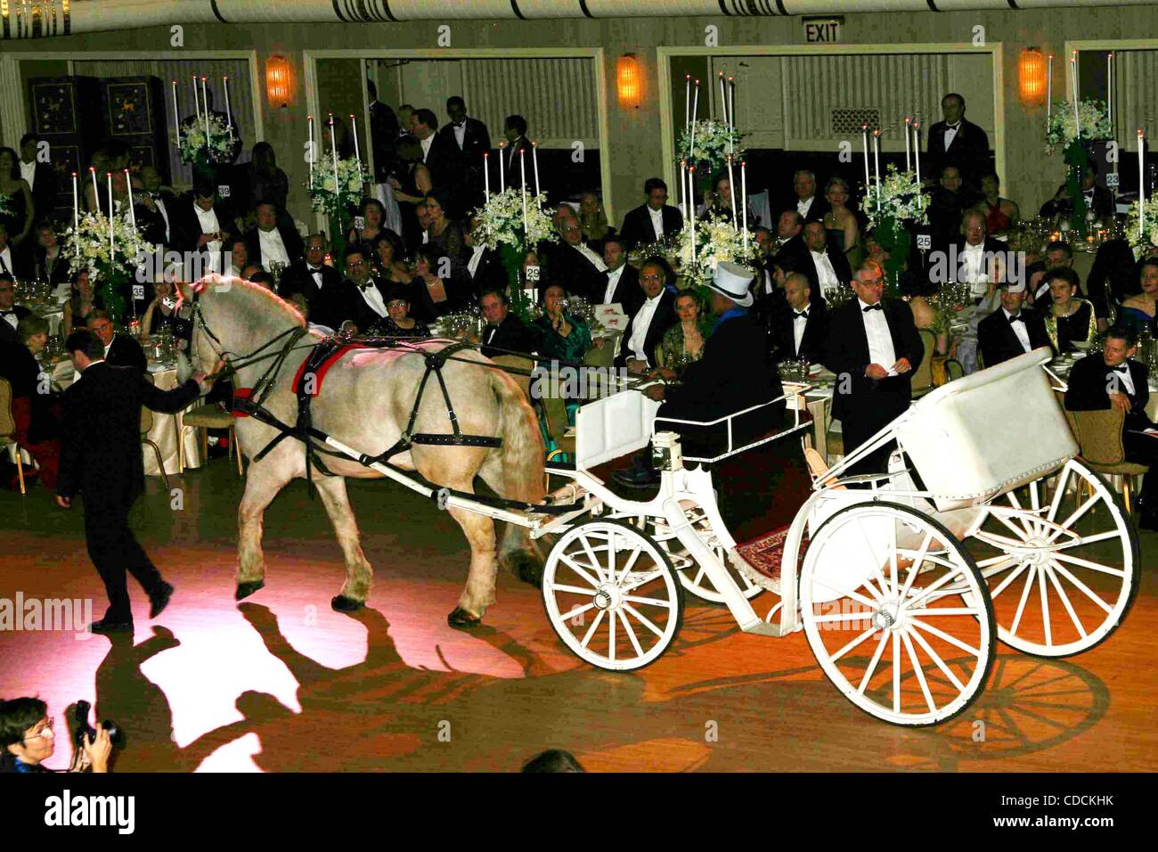 K35212ML.THE 49TH ANNUAL VIENNESE OPERA BALL TO BENEFIT CENTRAL PARK ...